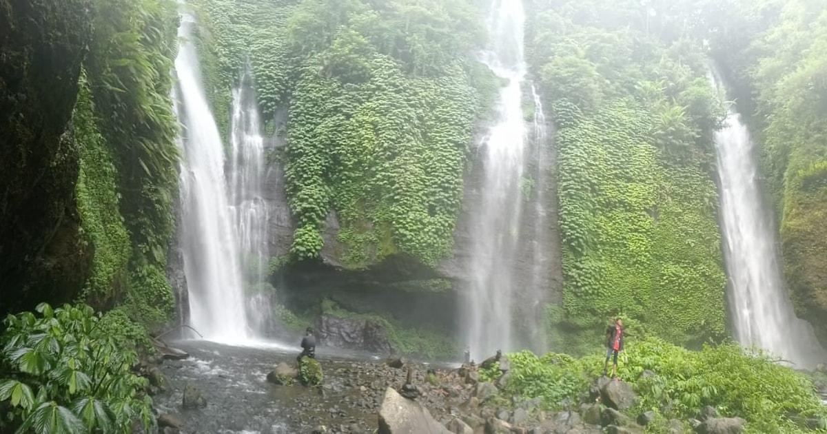 Sekumpul and fiji waterfall trackking | GetYourGuide