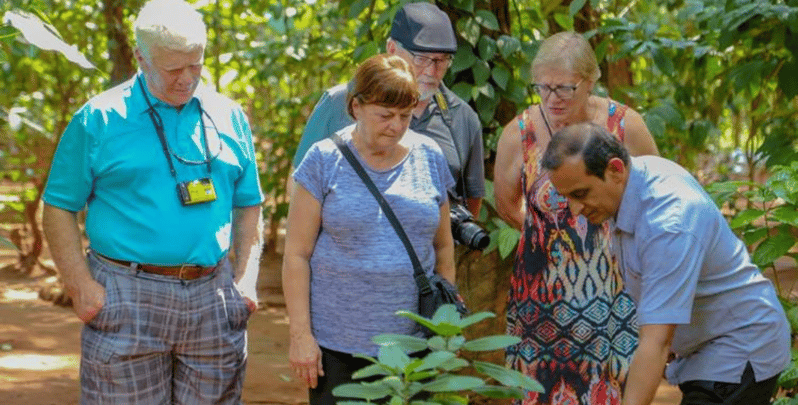 10-Day Ramayanaya Ancient epic story | GetYourGuide