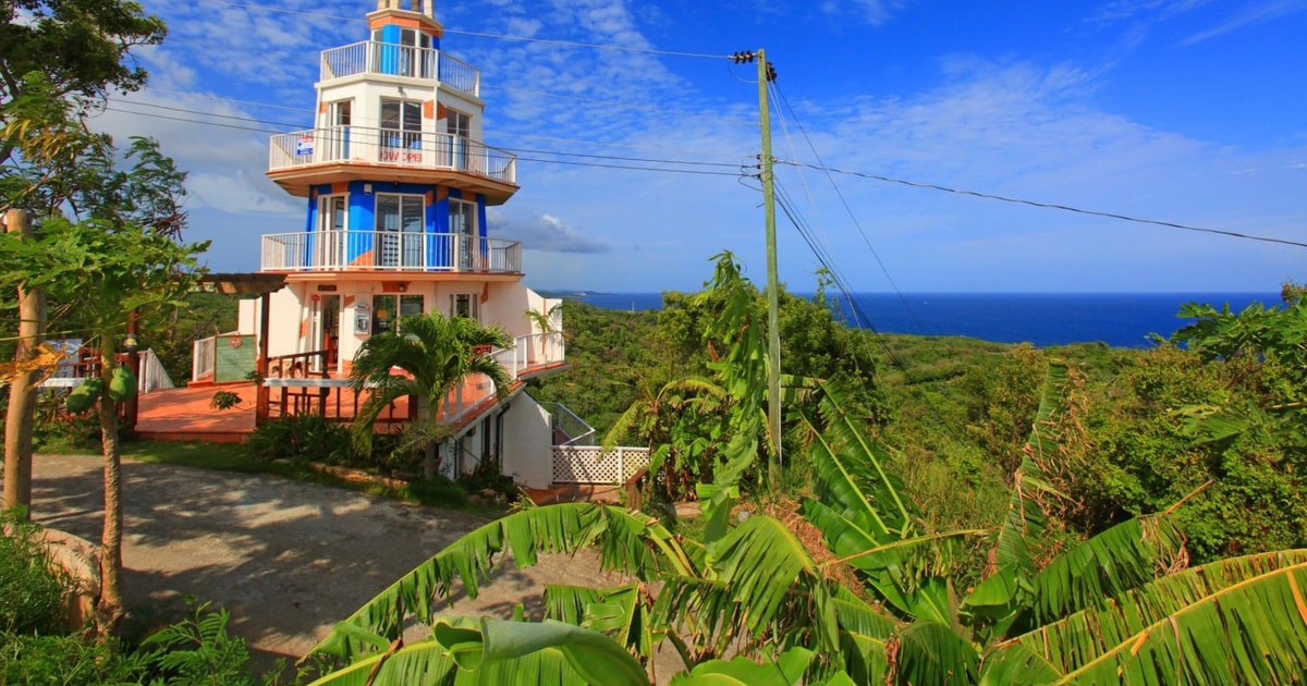 La felicità dell'avventura dei visitatori di Roatan | GetYourGuide