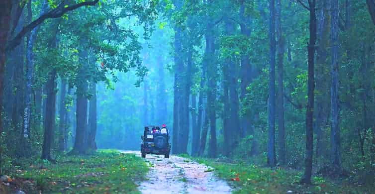 Gujarat: Devalia Park ( Devaliya ) Guided Jeep Safari | GetYourGuide