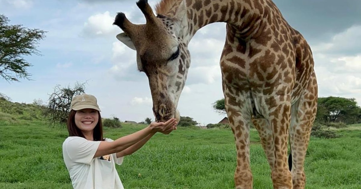 Arusha: excursión de un día a Serval Wildlife - Alimenta a jirafas y ...