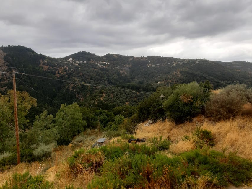 The Theriso Gorge and Village E-Bike Adventure | GetYourGuide