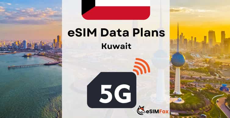 The BEST Kuwait City Tours and Things to Do in 2024 - FREE Cancellation ...