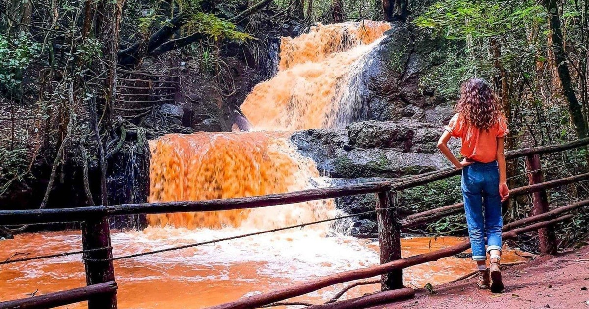 Nairobi: Van Nairobi naar Karura Forest Wandeltour met gids | GetYourGuide