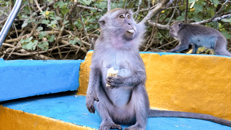 Kota Kinabalu : Fireflies & Sky Mirror Dream Beach Bongawan | GetYourGuide