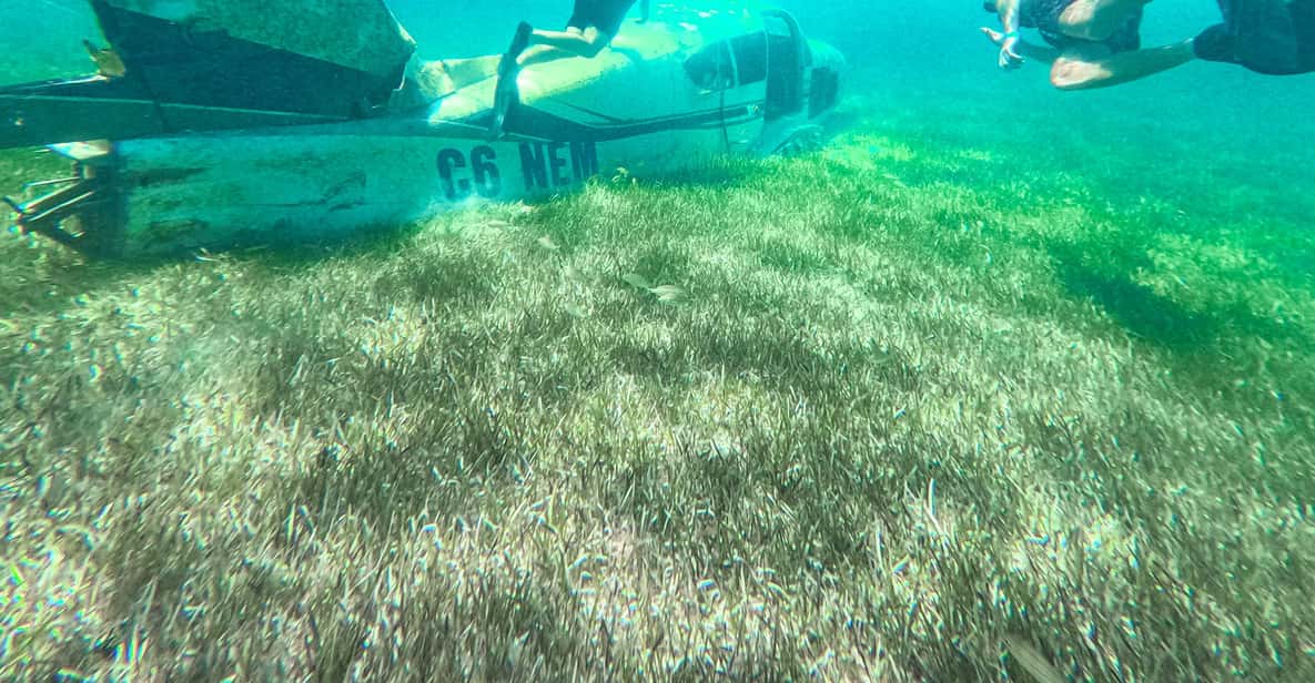 Nassau: SunCay SNUBA Diving Adventure with Lunch | GetYourGuide