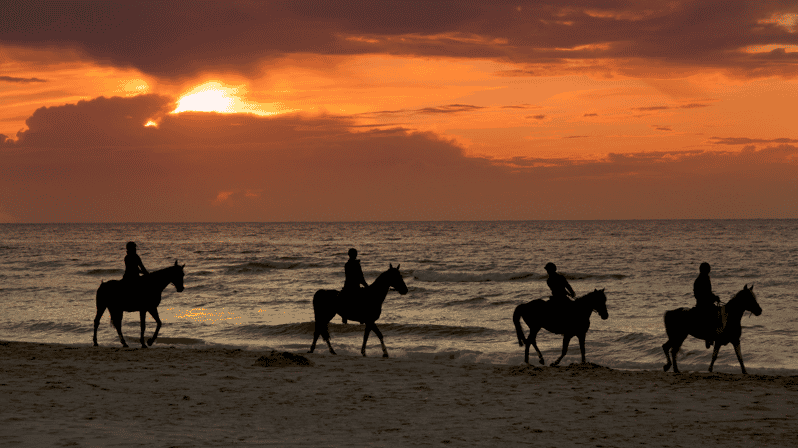 Puerto Rico: Sunset Horseback Rides in Aguadilla Beach | GetYourGuide