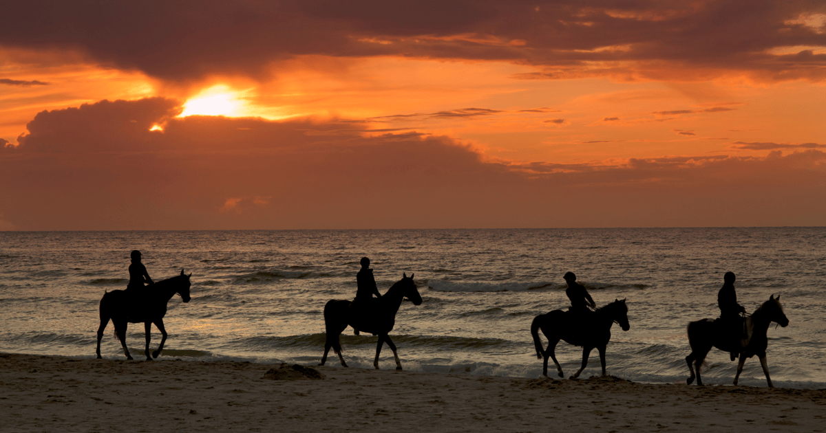 Puerto Rico: Sunset Horseback Rides in Aguadilla Beach | GetYourGuide