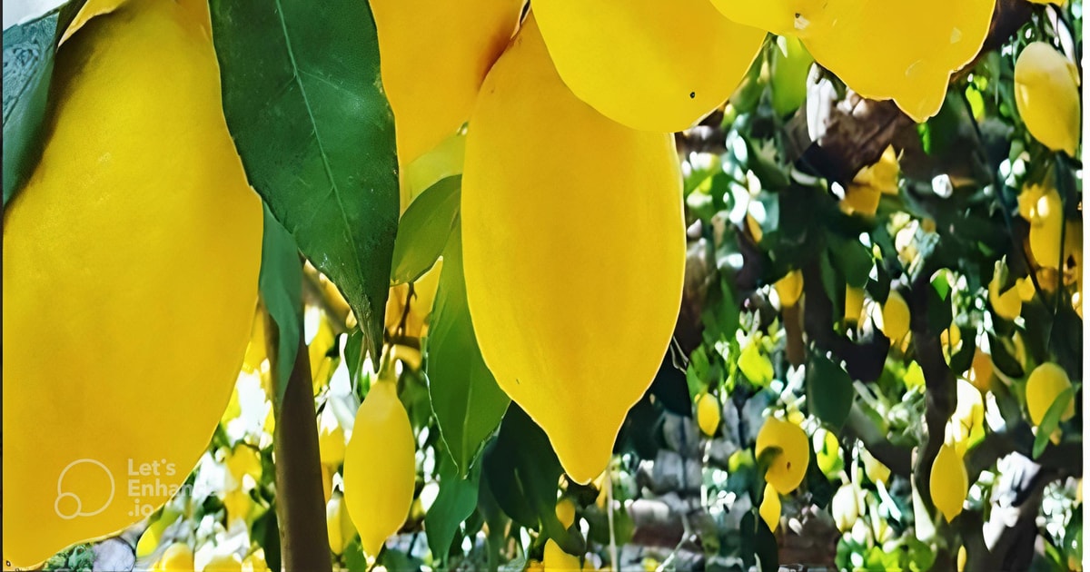 Costiera Amalfitana: tour del limone con degustazione | GetYourGuide