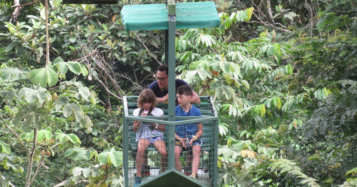 Aerial Tram & Sloth Sanctuary in the Rainforest | GetYourGuide