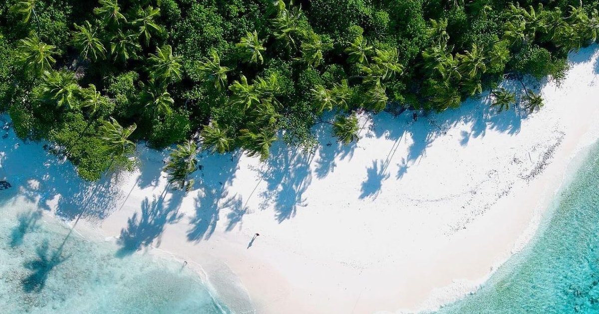 Stone Town mit Mittagspause, Paje Beach, The Rock Restaurant | GetYourGuide