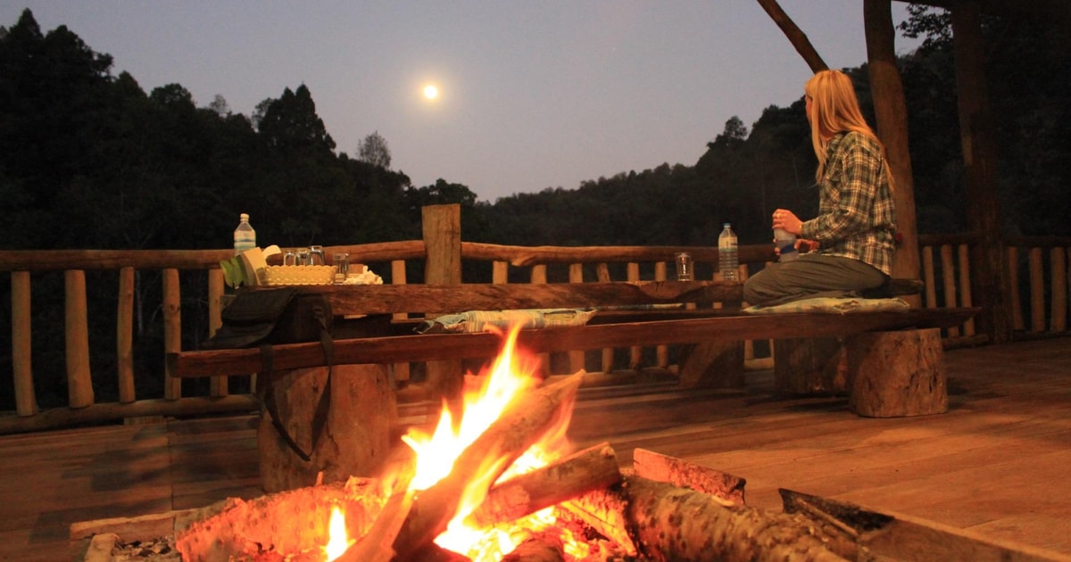 Tree House Stay + Sticky Waterfall & Caves | GetYourGuide