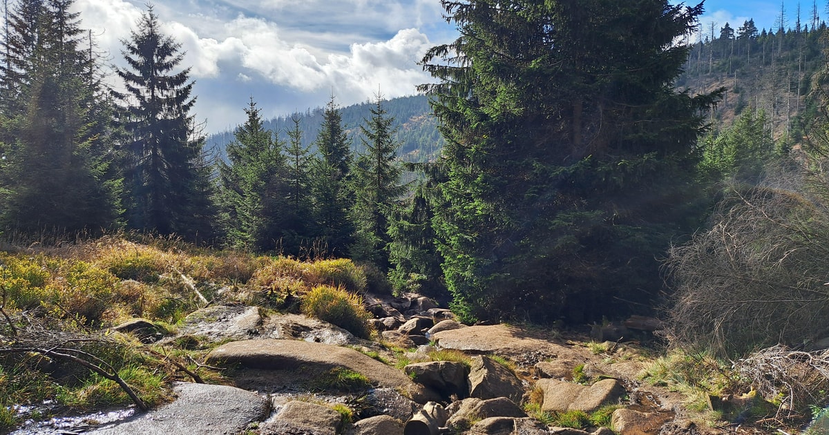 Harzer-Hexen-Stieg – 3-daagse begeleide wandeling - Brocken (vr-zo ...