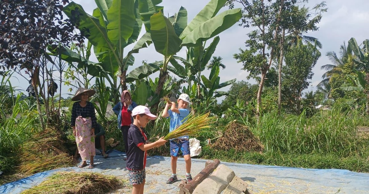 Tetebatu Panorama Walk: Rice Fields, Waterfall & Monkeys | GetYourGuide