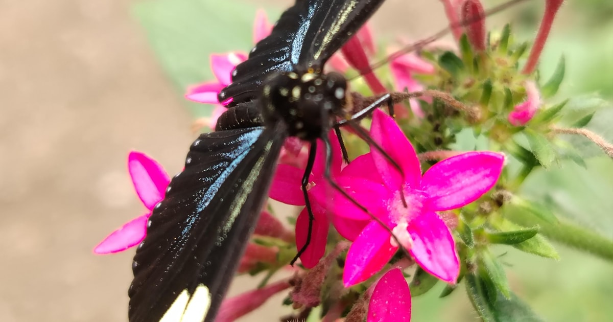 Quito: Waterfall, Hummingbirds, Butterfly Tour, Equator line | GetYourGuide