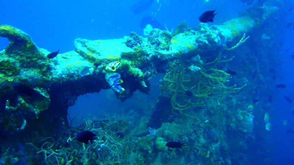 Coron Reef and Wrecks Tour (Private Tour) | GetYourGuide