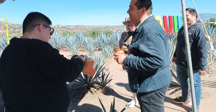 Five-star factory: Meet Orendain tequila. | GetYourGuide