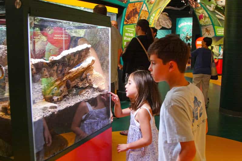 New Orleans: Audubon Aquarium & Insectarium Ticket | GetYourGuide