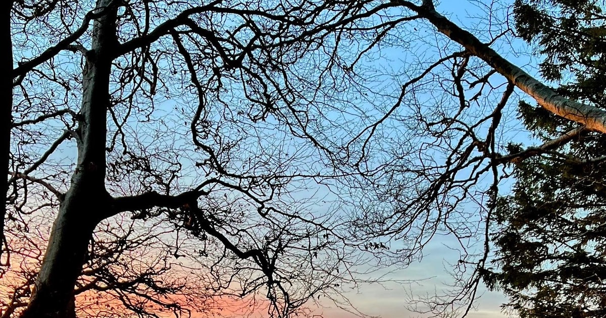 Bergen Walking Tour (Private) | GetYourGuide