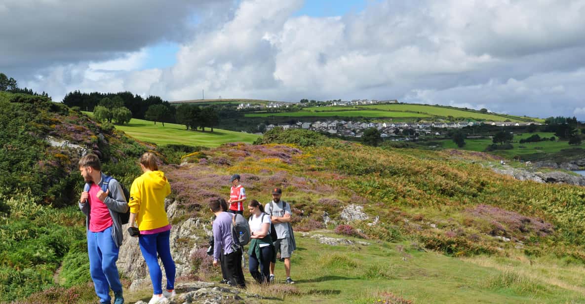 Wicklow: Guidet klippevandring med sæler og byrundtur med picnic ...
