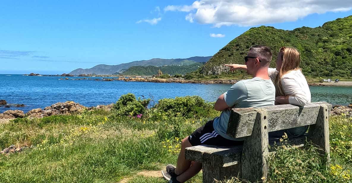 Wellington: Tour guiado na cidade com ingresso para o teleférico ...