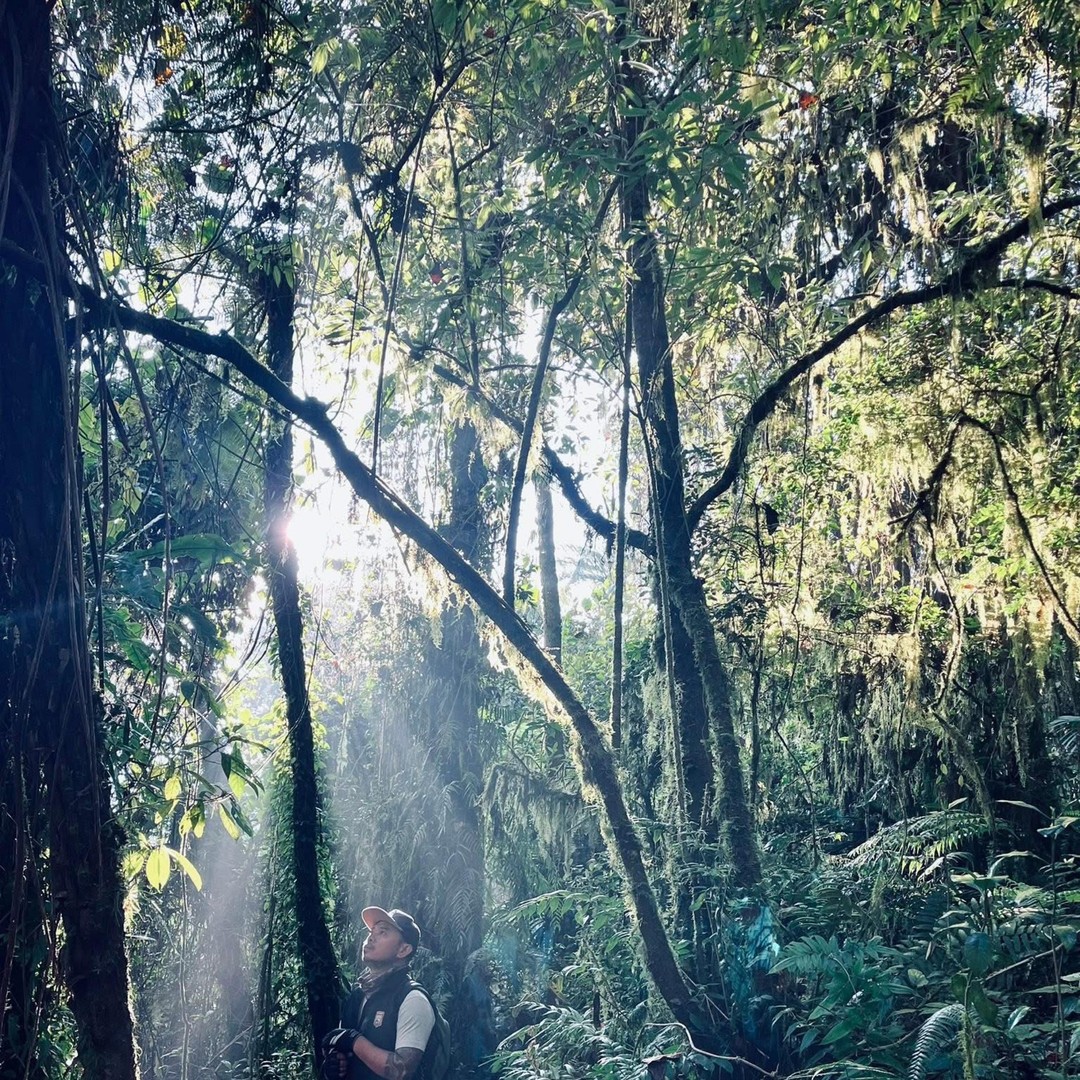 Bali: Trekking nella giungla del Monte Lesung e tour del lago ...