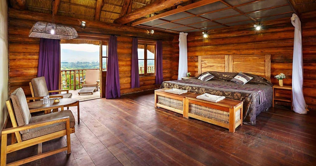 7 dienu luksusa grupu ekskursija, gorillas, šimpanzes un medījums ...