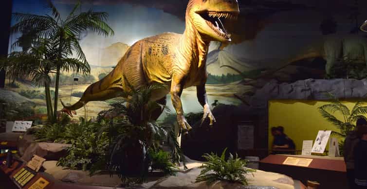 Seattle Pacific Science Center Ticket de entrada general | GetYourGuide