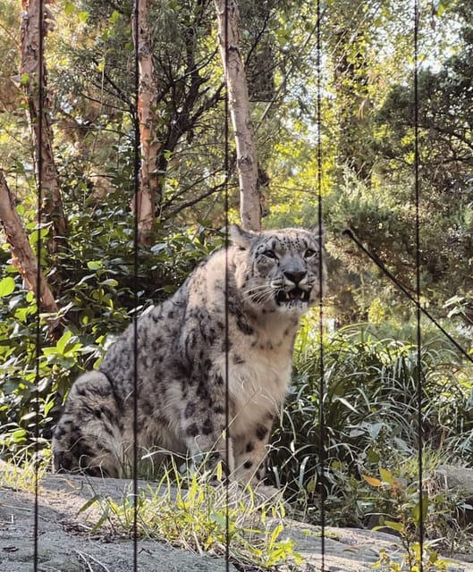 NYC: Central Park Zoo & Central Park Guided Walking Tour | GetYourGuide