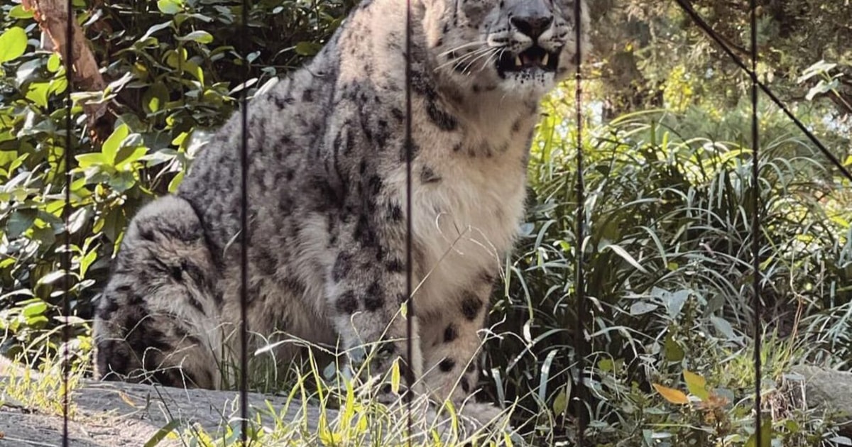 NYC: Central Park Zoo & Central Park Guided Walking Tour | GetYourGuide