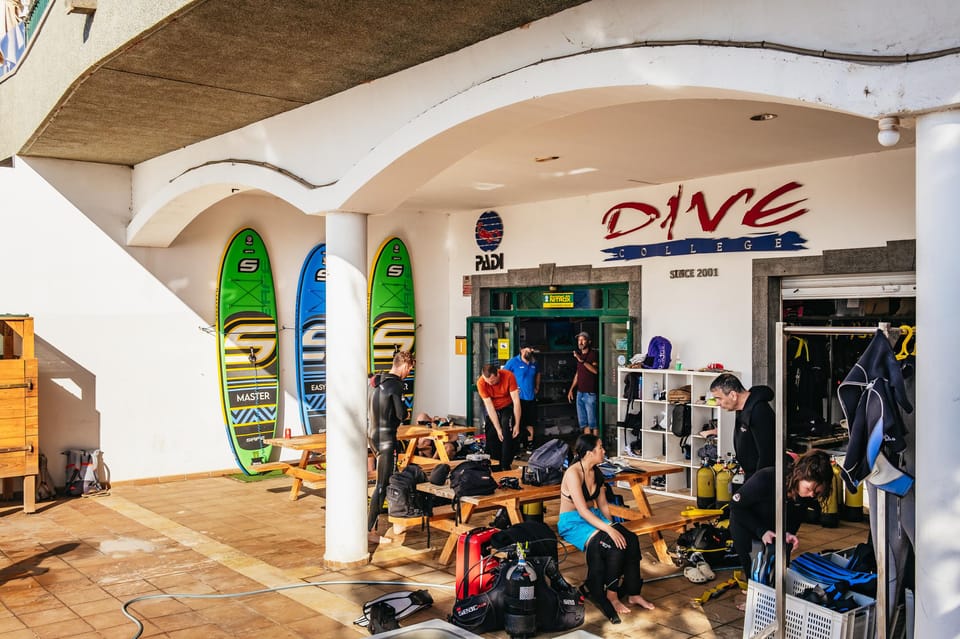 Museo Atlántico: Scuba Dive Lesson for Non-Certified Divers | GetYourGuide