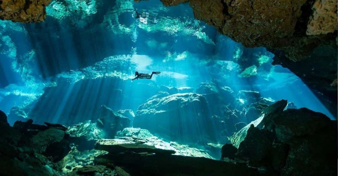Vanuit Cancún: Chac Mool Cenote duikervaring | GetYourGuide
