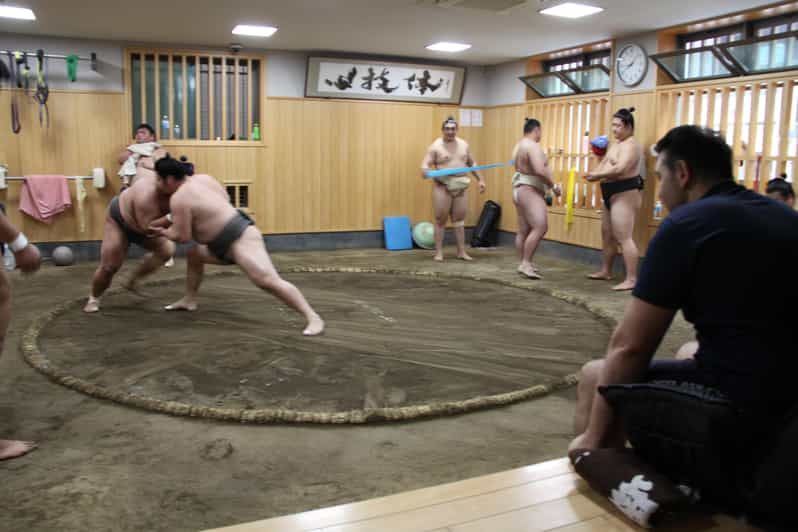 Tokyo: Büyük Sumo Sabah Antrenman Turu | GetYourGuide
