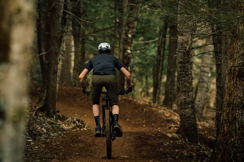 Mombasa Promenade à Vélo Dans La Forêt De Bamburi Getyourguide