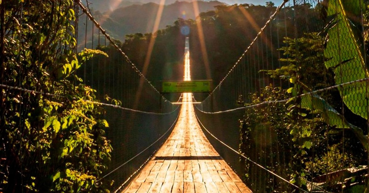 Puerto Vallarta: ZipLine + Jorullo Bridge Pass + Mule Ride | GetYourGuide