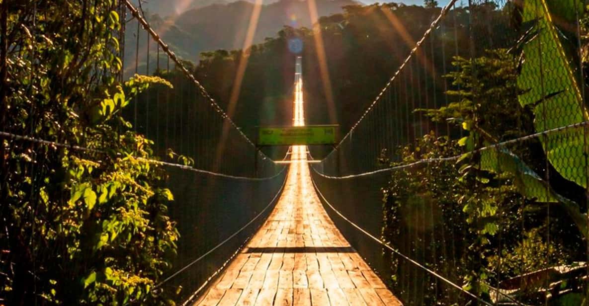 Puerto Vallarta: ZipLine + Jorullo Bridge Pass + Mule Ride | GetYourGuide