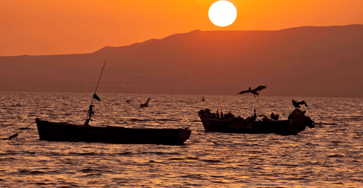 From Paracas: Sunset in the Paracas National Reserve | GetYourGuide