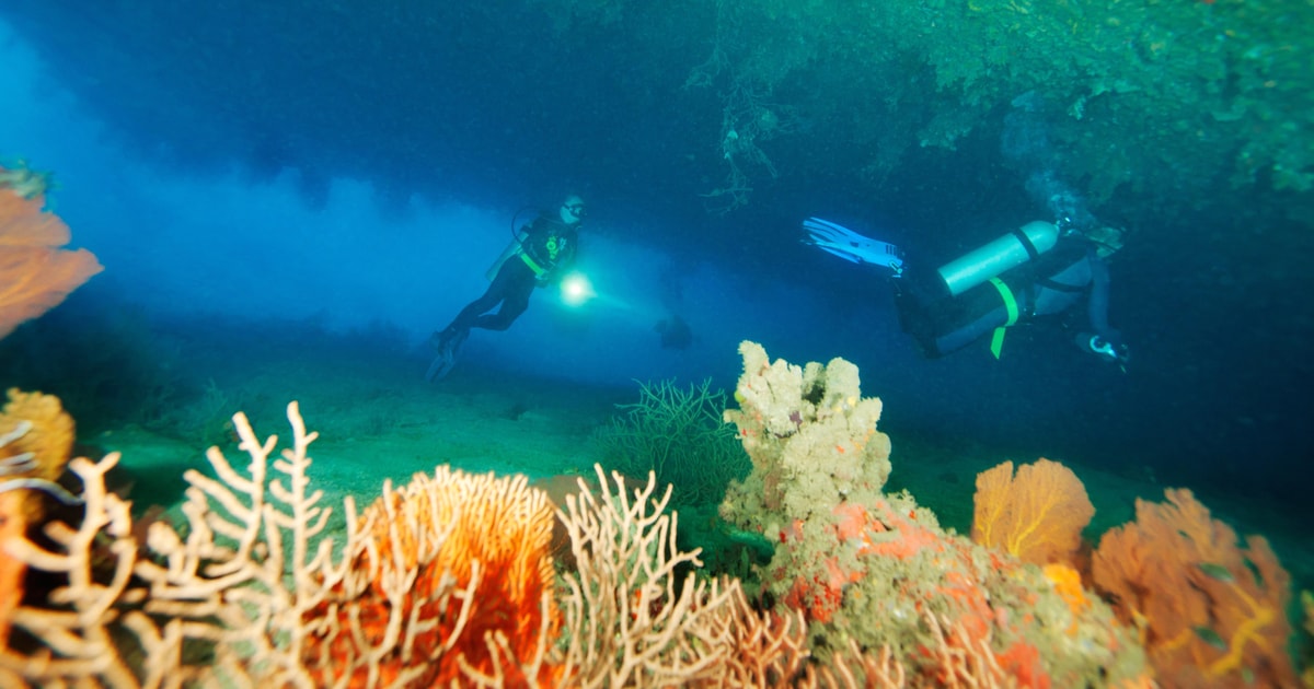 SANTO: SS President Coolidge & Million Dollar Point Dive | GetYourGuide