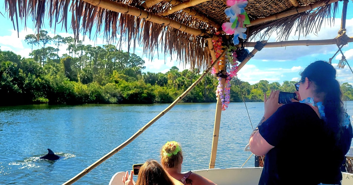 2 Hour Tiki Dolphin Sightseeing Tour in Cocoa Beach | GetYourGuide