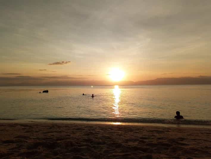 South Cebu: Sardines Run and optional Canyoneering Adventure | GetYourGuide