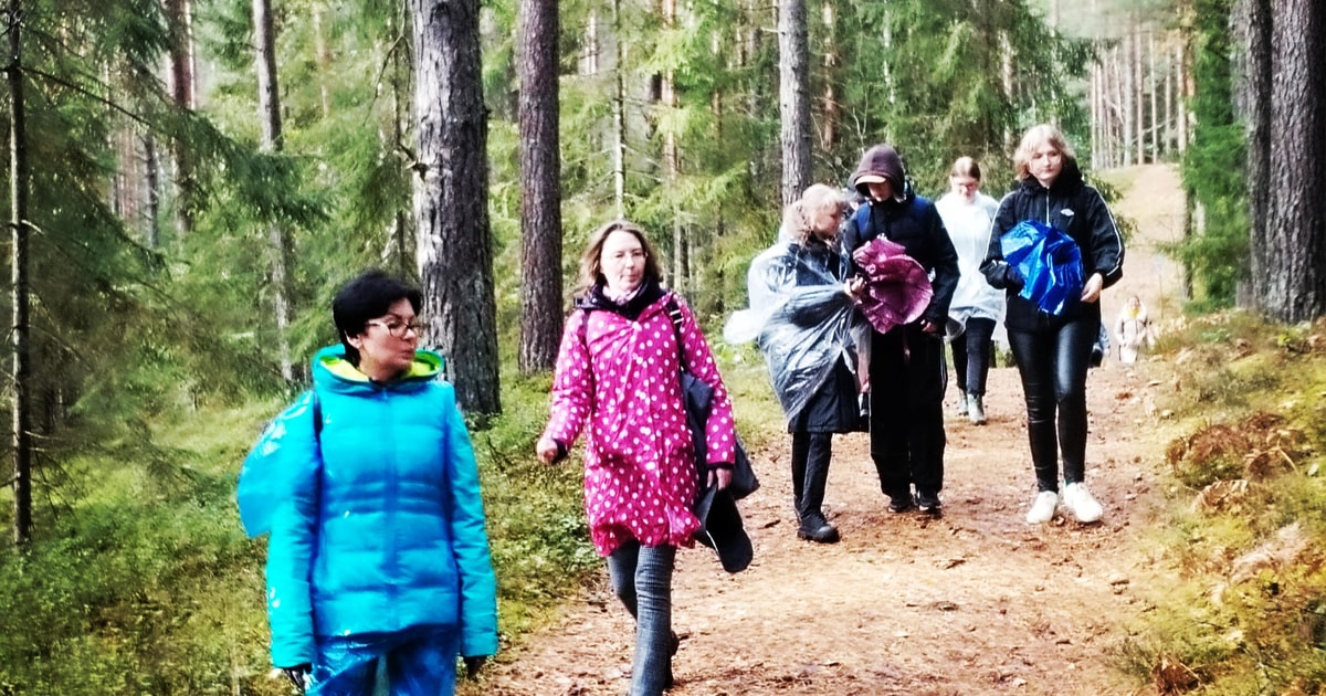 Parque Nacional de Kemeri Ruta de senderismo (16 km) | GetYourGuide