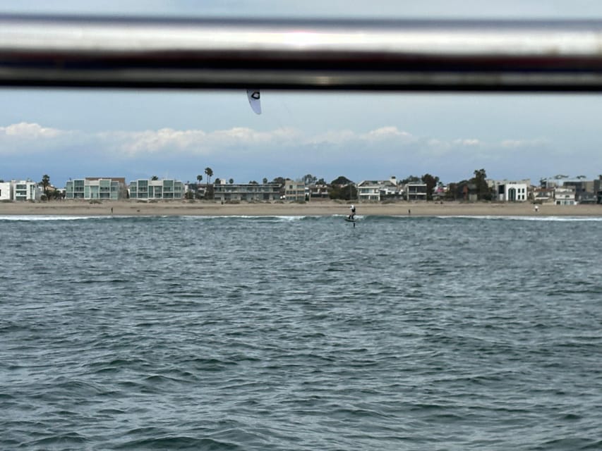 Dolphin Calling Wildlife Tour | GetYourGuide