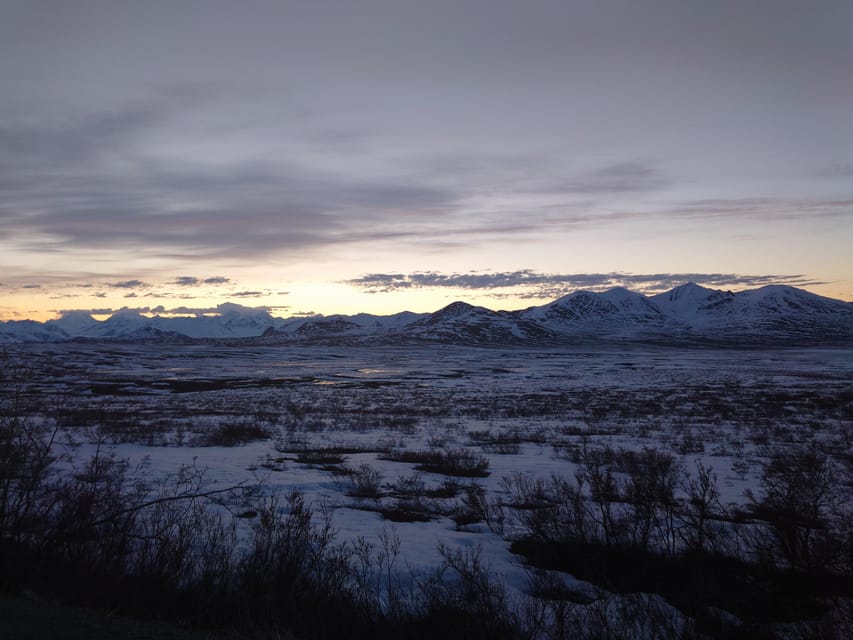 Authentical Denali Tour from Denali Park and Fairbanks | GetYourGuide
