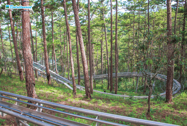 Da Lat: Datanla New Alpine Coaster Experience Entry Ticket | GetYourGuide