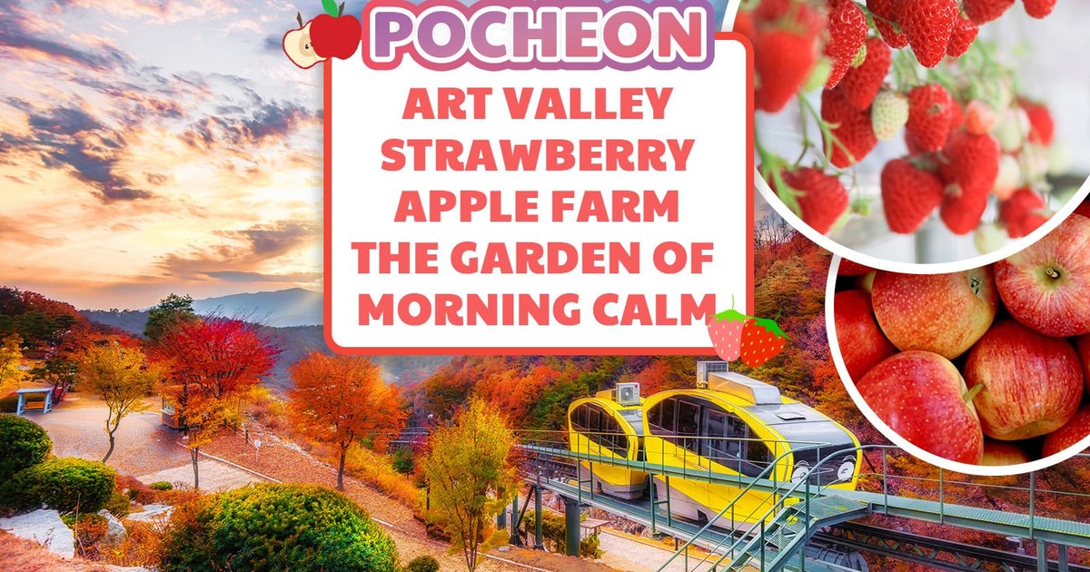 Seoul: Pocheon Sightseeing Tour with Seasonal Fruit Picking | GetYourGuide