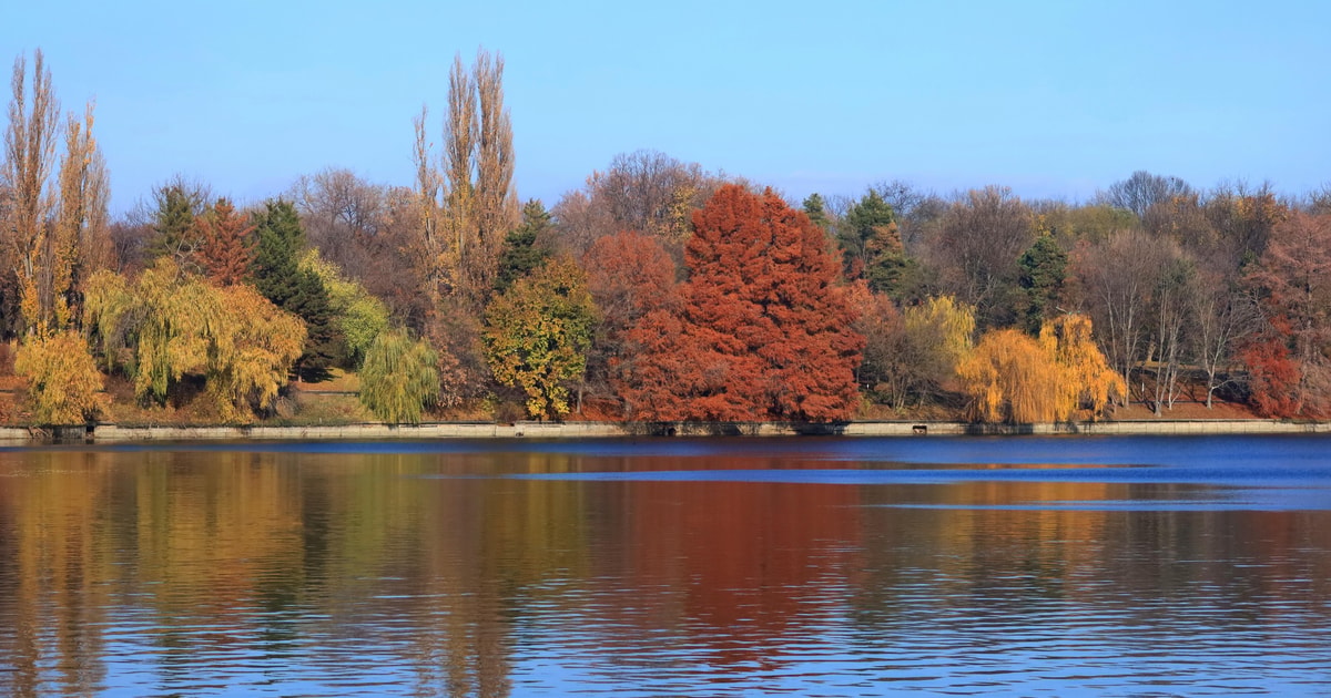 Bucharest Sightseeing Tour | GetYourGuide