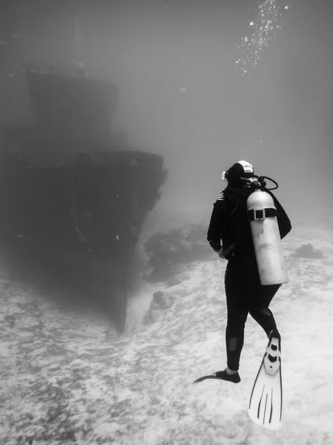 2 Tank Dive in Cozumel’s Marine National Park | GetYourGuide