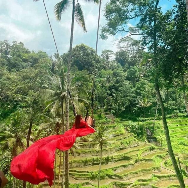 Bali: Sightseeing with Private Car and Driver Tour | GetYourGuide