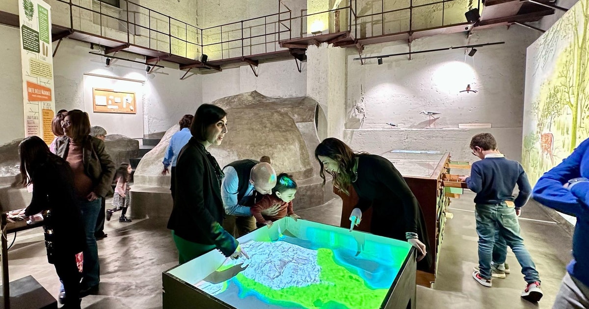 English or Spanish tour to immersive museum + lunch | GetYourGuide