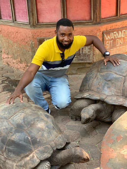 Zanzibar: Prison Island Tour | GetYourGuide